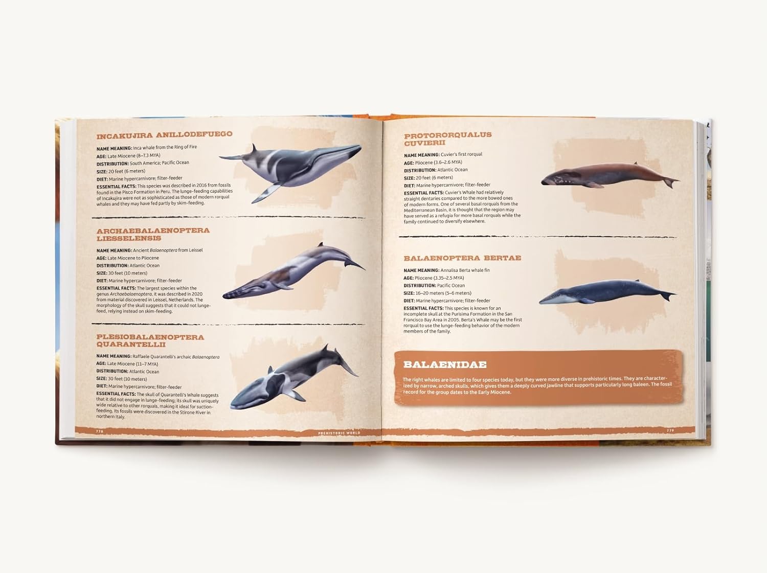 Prehistoric World: Over 1,200 Incredible Mammals & Discoveries from th ...