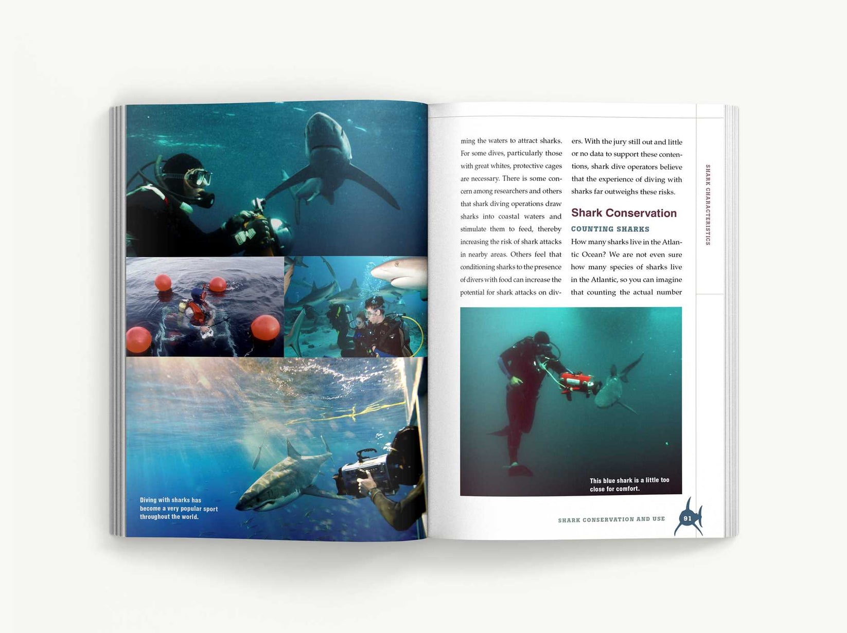 The Shark Handbook: Third Edition: The Essential Guide for Understandi ...