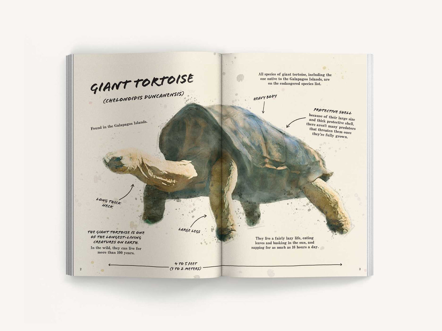 The Ultimate Reptile Field Guide: The Herpetologist's Handbook – Cider ...