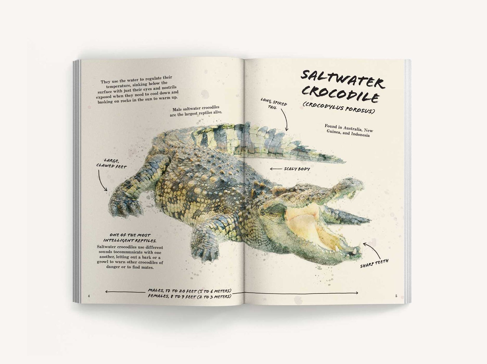 The Ultimate Reptile Field Guide: The Herpetologist's Handbook – Cider ...